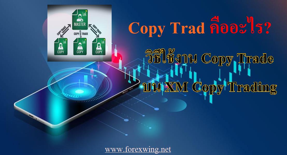 CopyTradeคืออะไร วิธีการใช้งานพร้อมขั้นตอนการสมัครxm copy trading